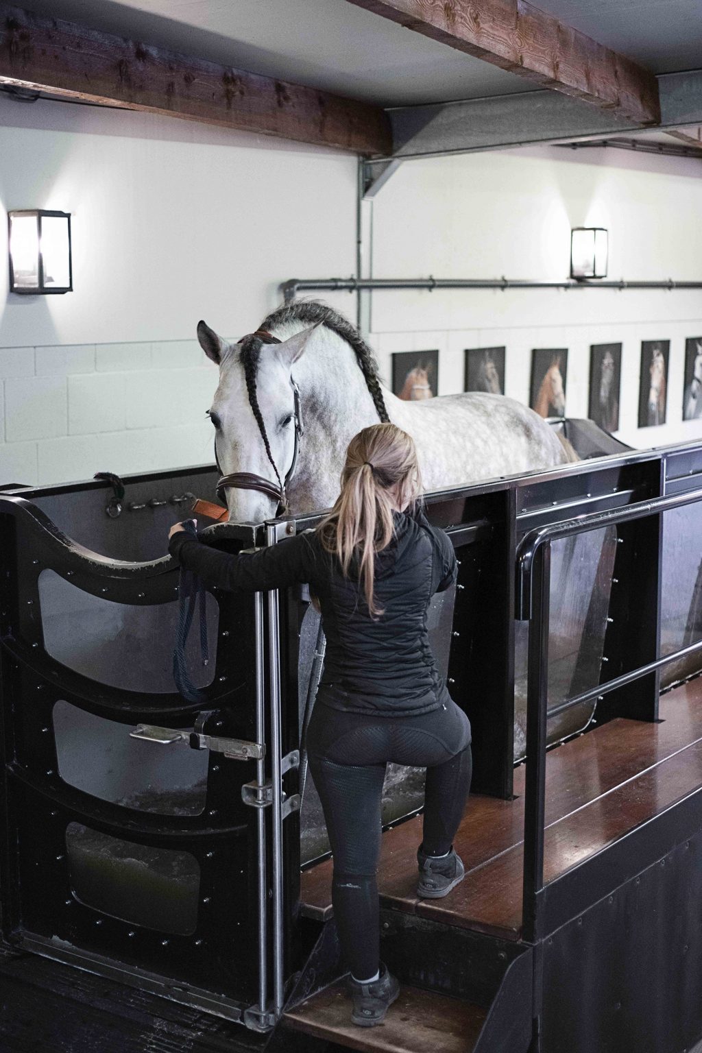 Facilities - Elite Iberian Sport Horses